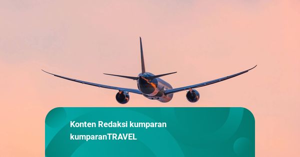 5 Fakta Indonesia Airlines: Maskapai Baru Singapura yang Siap Mengudara di RI | kumparan.com